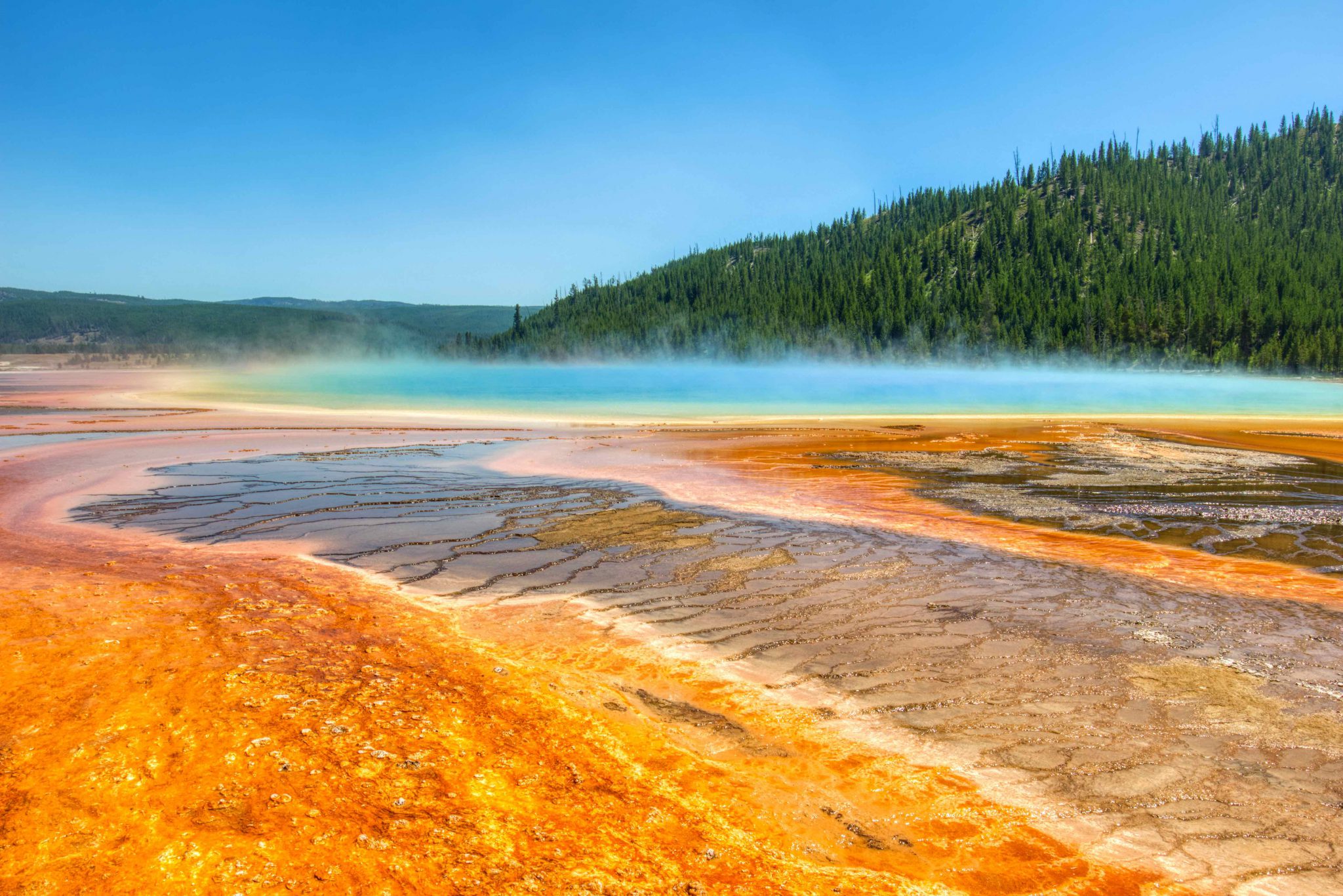 Sandra Raimundo – Sandra Raimundo's webpage